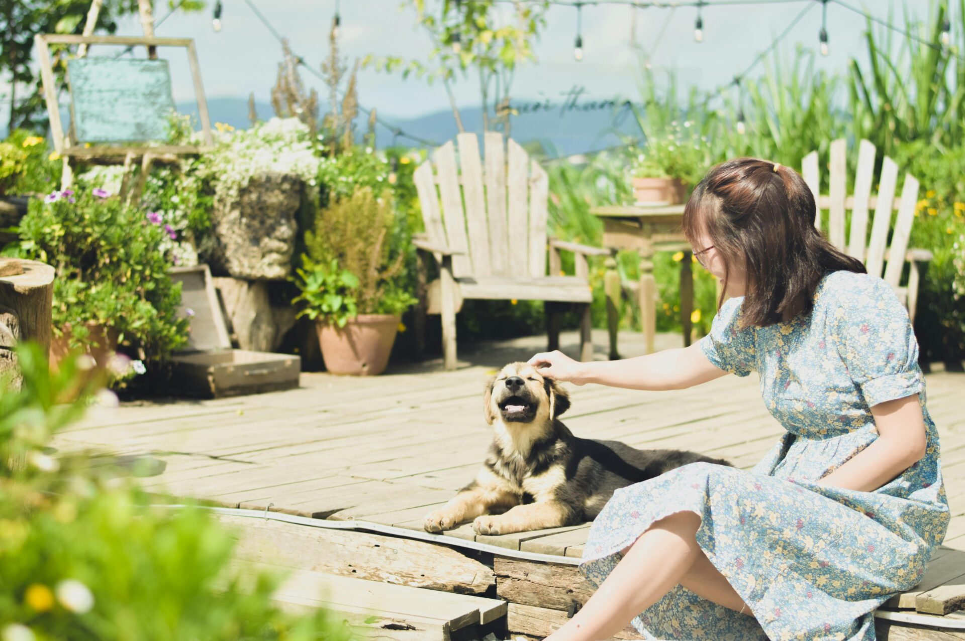 Get Your Deck Ready for Summer in the Lower Mainland - All Hands On Deck